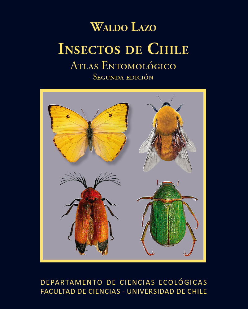 Insectos de Chile: atlas entomológico - Tantaku
