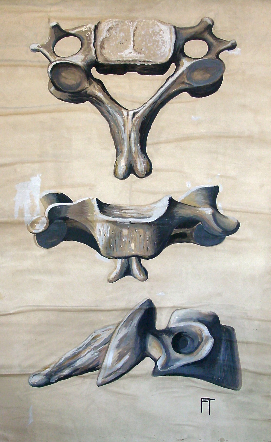 A1 Lámina - Tantaku