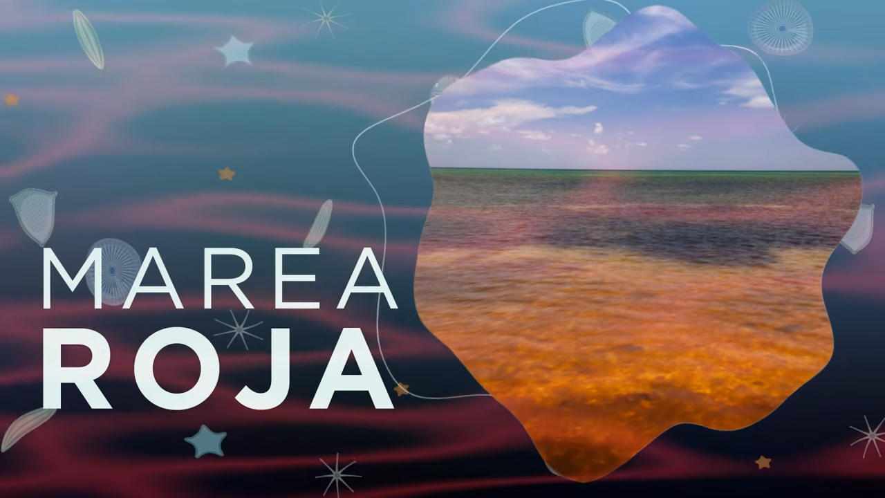 Marea Roja y Cambio Global - Tantaku